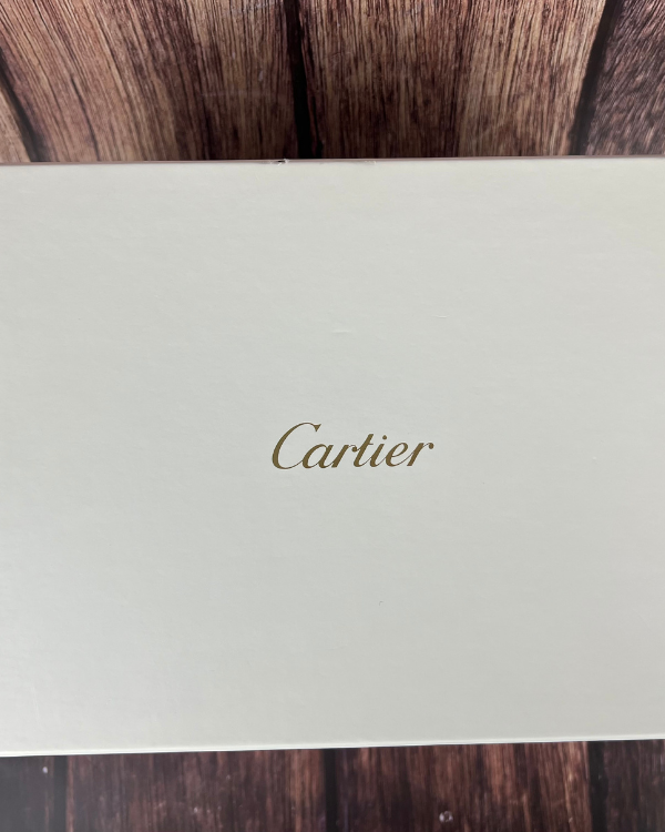 2023 Cartier Santos de Cartier 40MM Skeleton Dial Steel Bracelet (WHSA ...